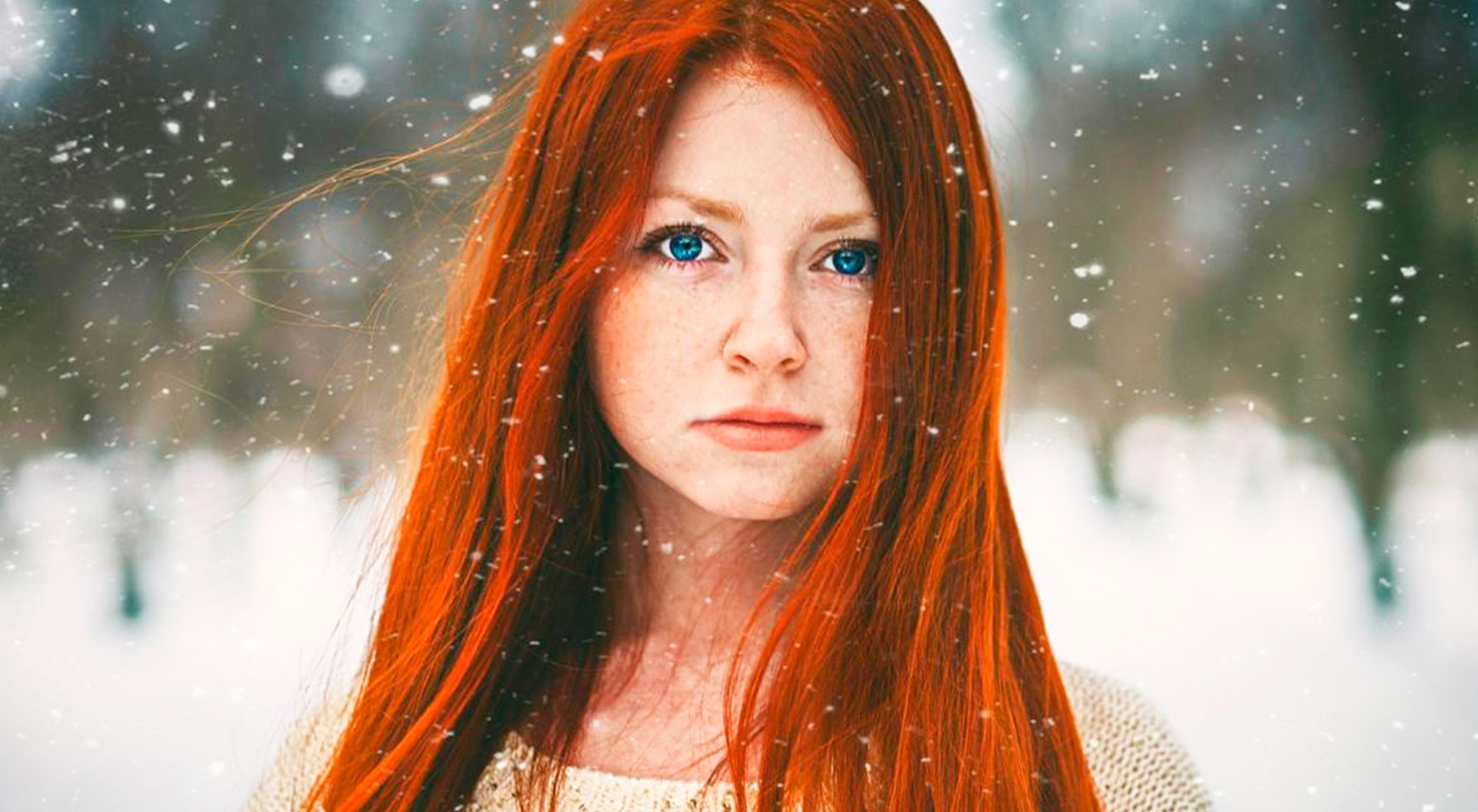 Introducción a la Fotografía